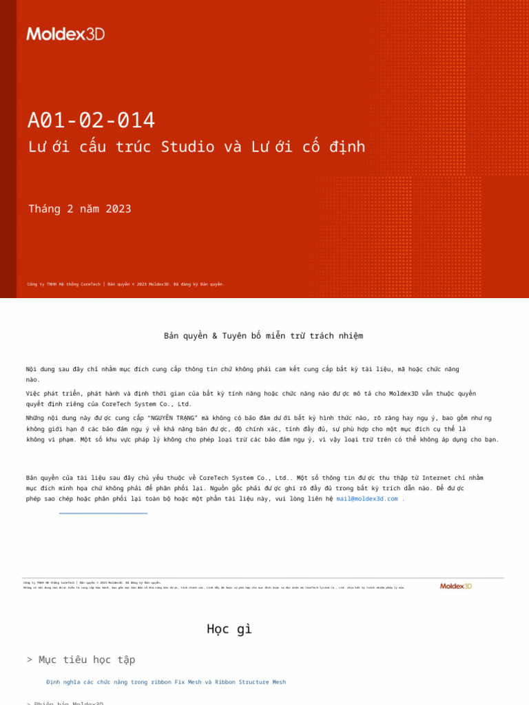 A01 - Fix Mesh | PDF