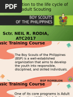 12 POINTS IN SCOUTING and Its Meaning | PDF