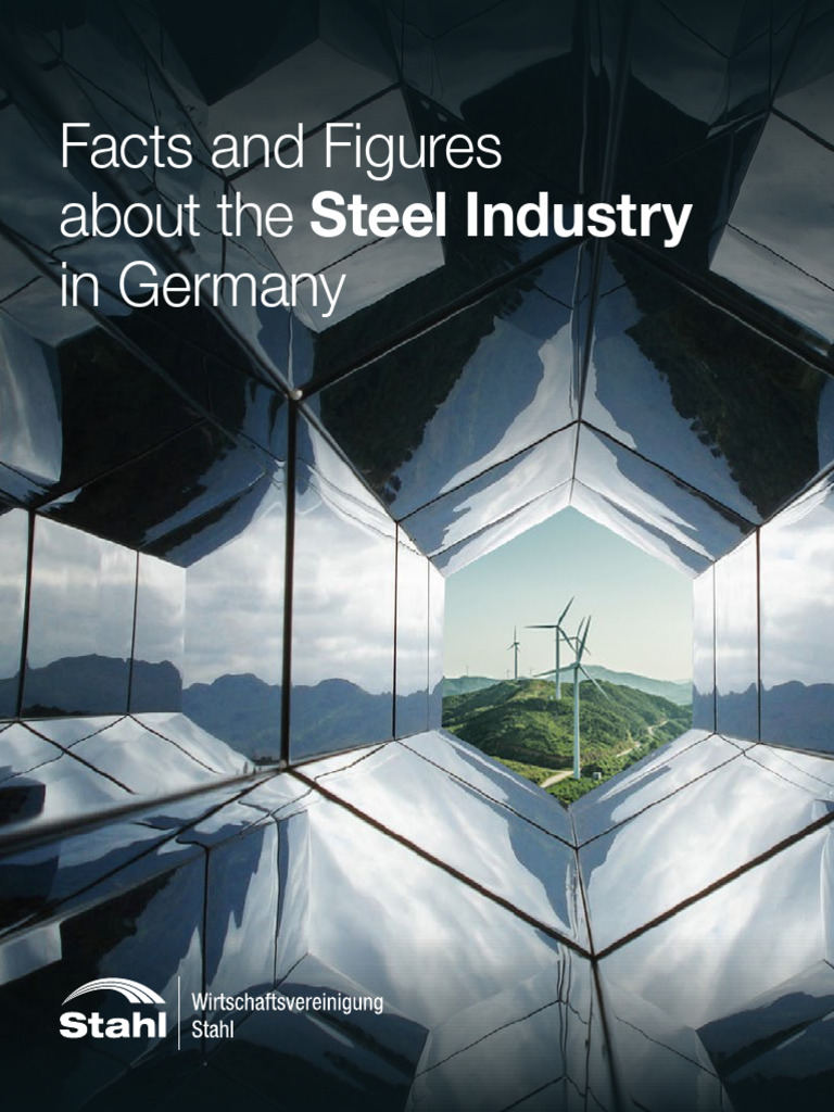 Steel Industry Insights in Germany | PDF | Steelmaking | Climate Change ...