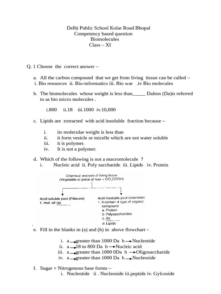 CBQ Chapter 10biomolecules | PDF | Enzyme | Nicotinamide Adenine Dinucleotide