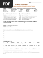 Class9 Animal Tissues Worksheet | PDF | Connective Tissue | Tissue ...