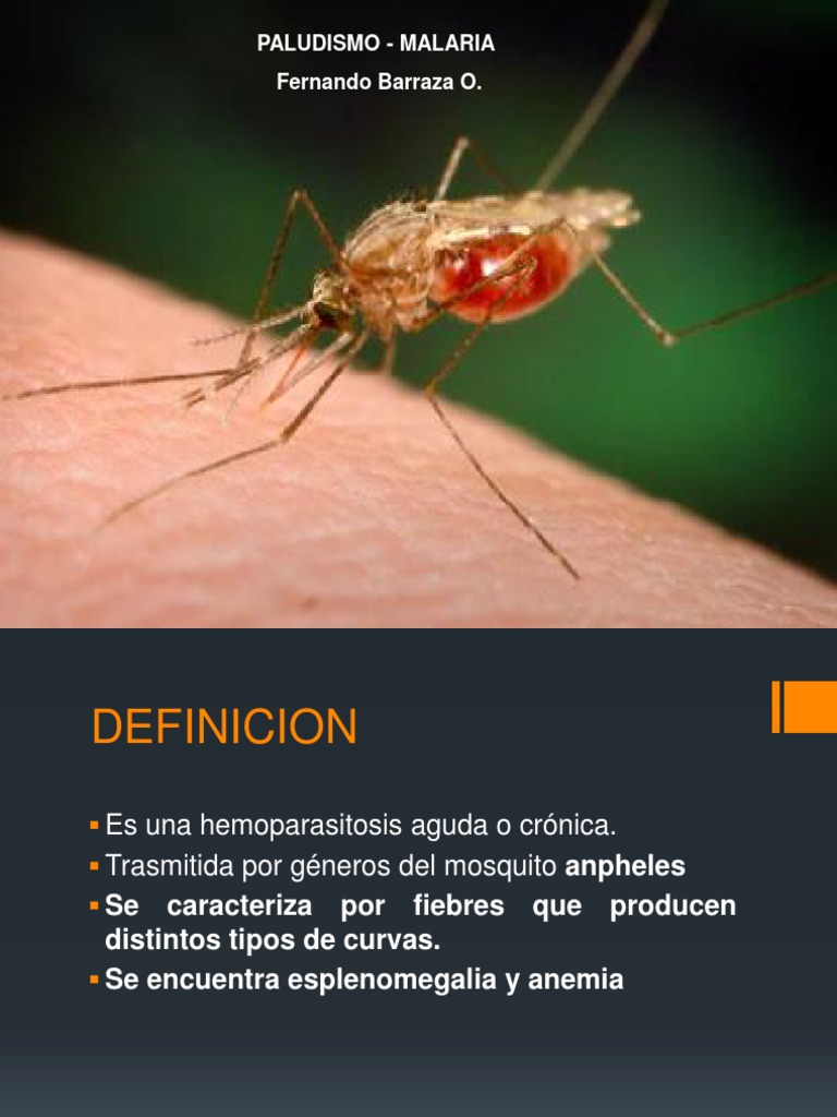 Paludismo - Malaria | Malaria | Plasmodium Falciparum