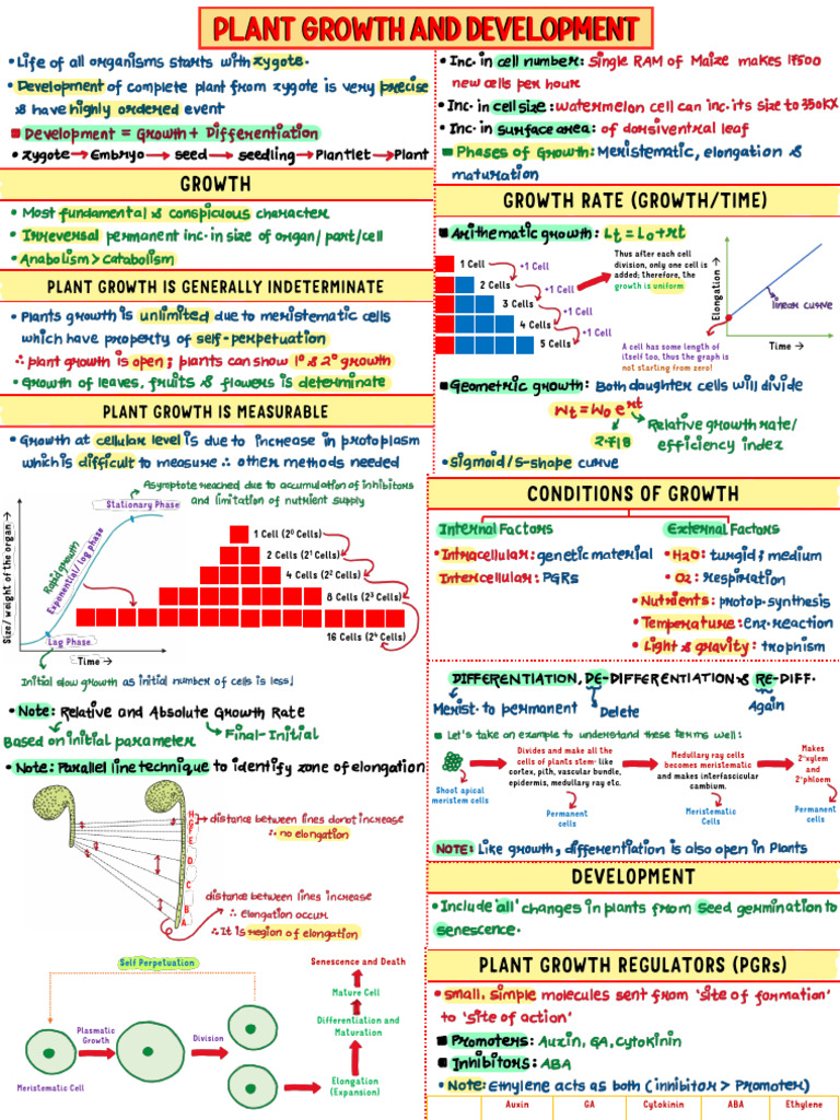 Plant Growth and Development-1 | PDF | Plant Hormone | Botany