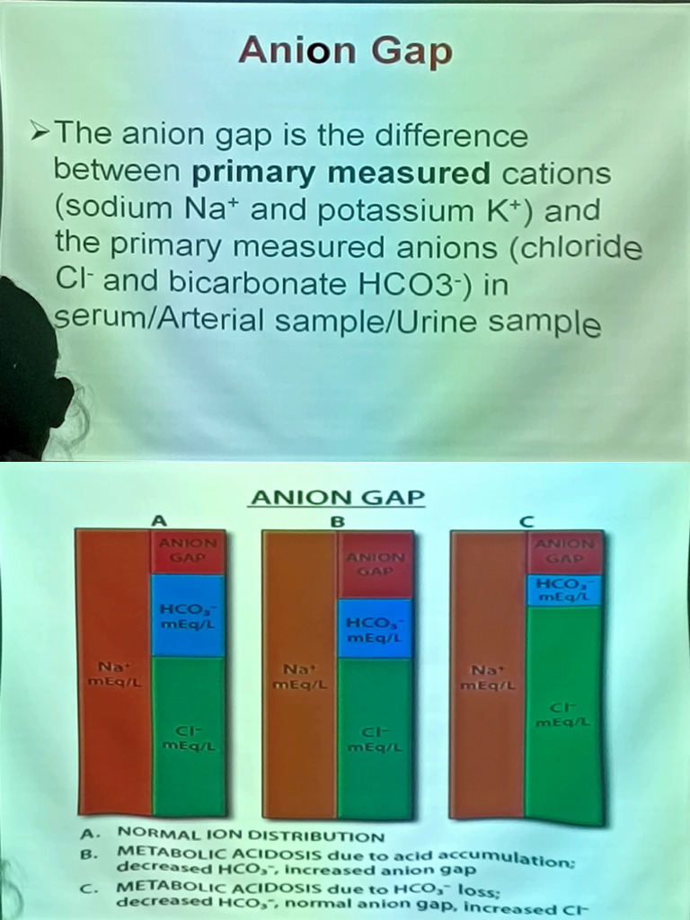 Anion Gap | PDF | Metabolic Disorders | Physiology