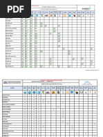 PPE Matrix Template | PDF