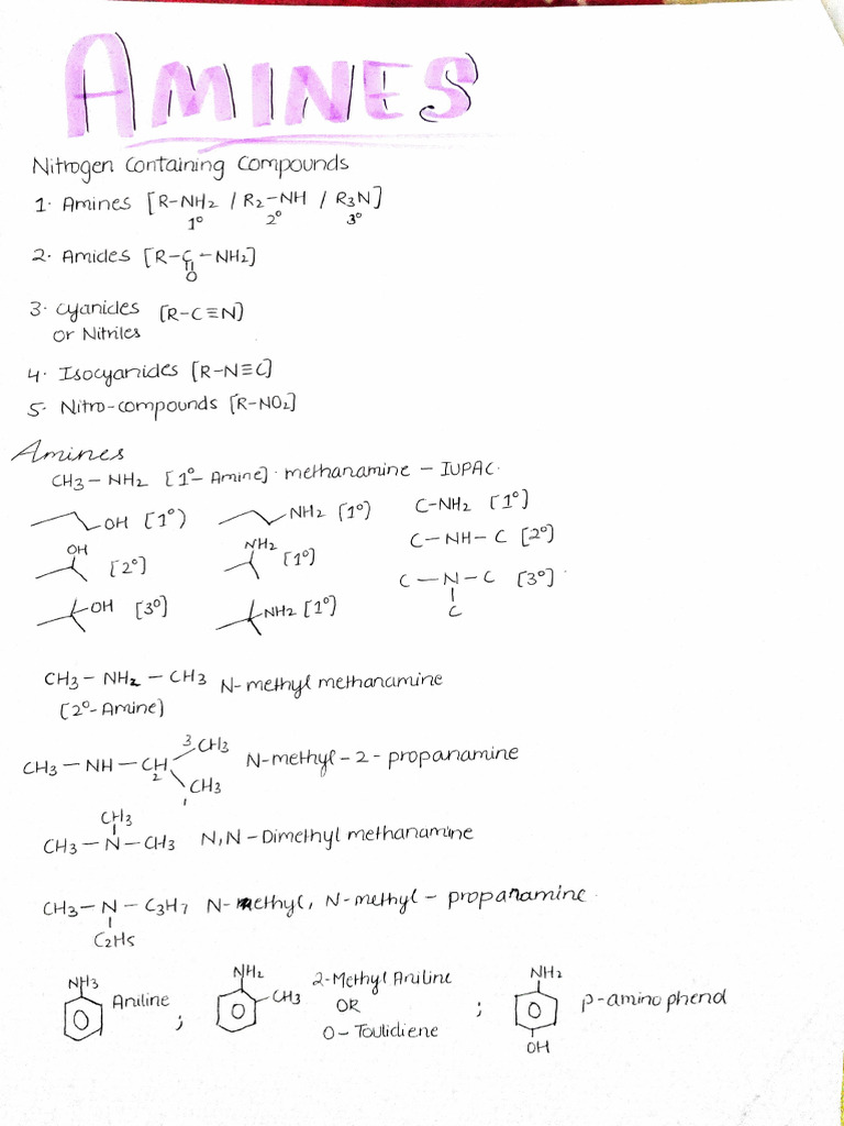 Amines Notes | PDF