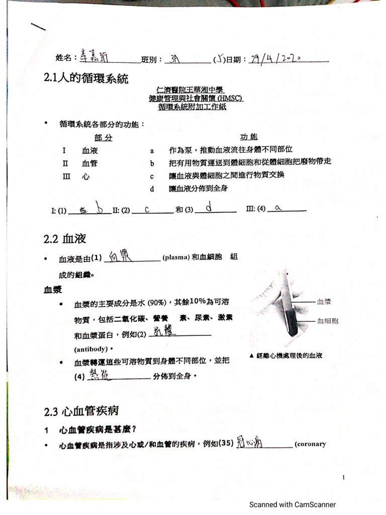 3a 05 李嘉珩 s3 Hmsc 循環系統附加工作紙 | PDF