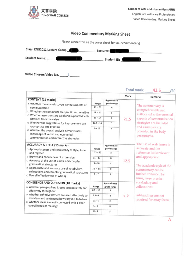 Sample Video Commentaries - Completed by Students | PDF