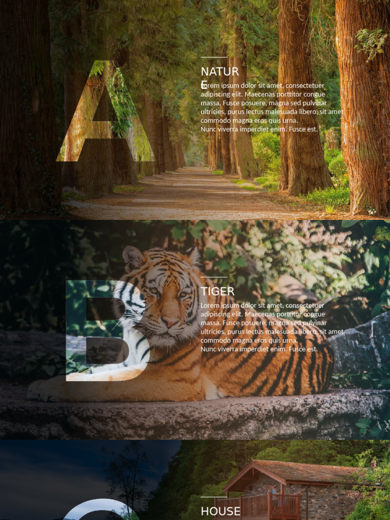 Amazing Numbering Image | PDF