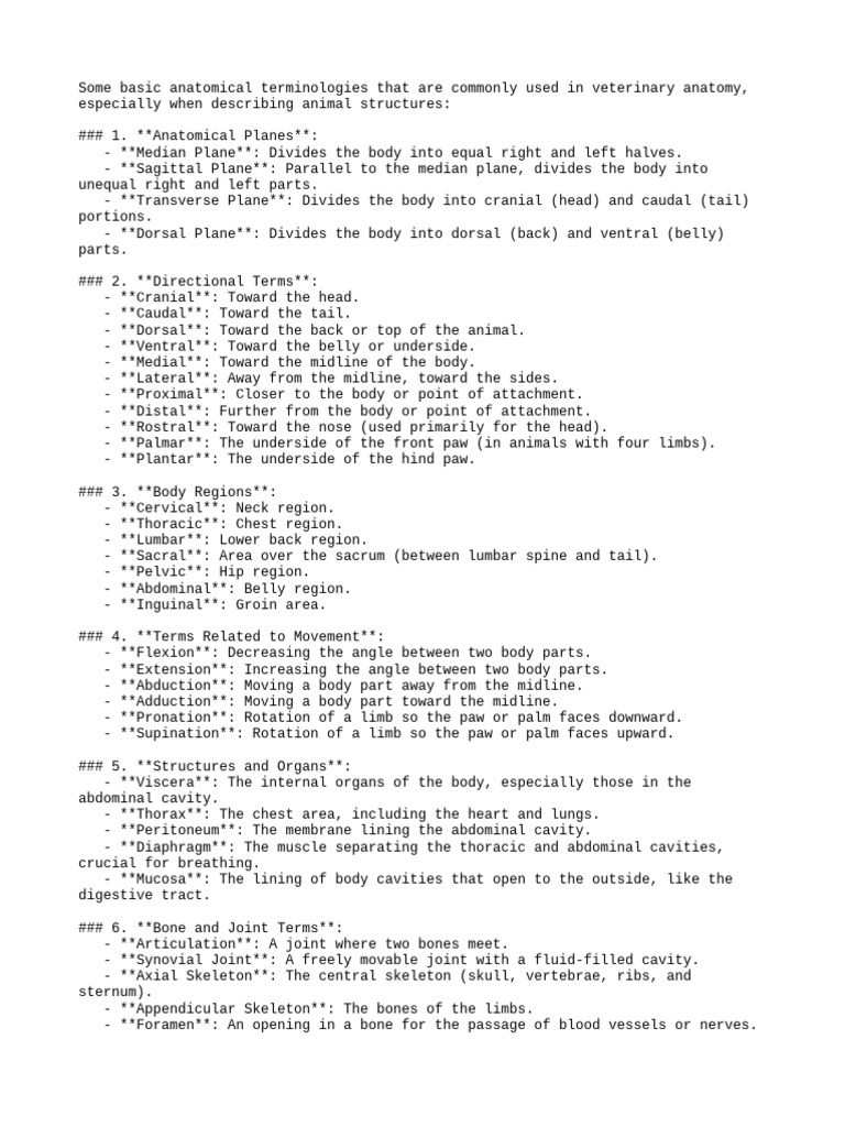 Basic Anatomical Terminolgies | PDF | Anatomical Terms Of Location ...