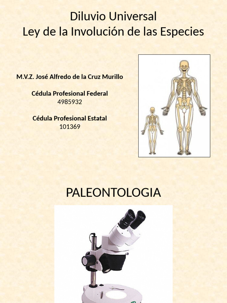 Involución y Riesgos en Paleontología | PDF | Tierra | Evolución