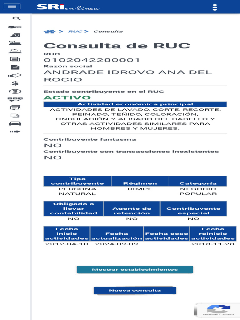 SRI en Línea - Consulta de RUC | PDF