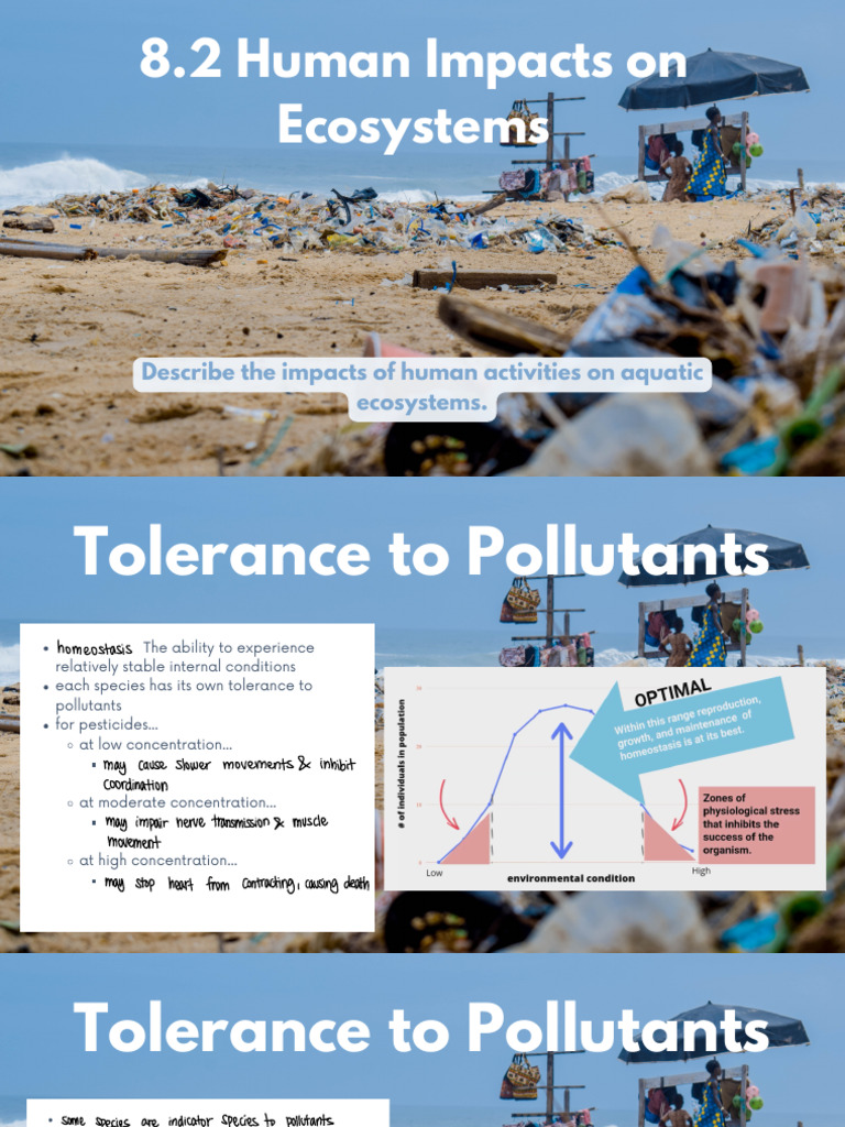8.2 Human Impacts On Ecosystems 2 | PDF | Water Pollution | Oil Spill