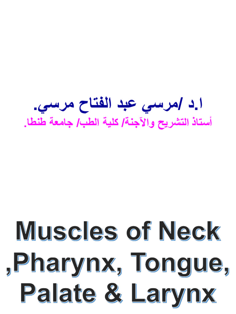 Final Muscles of the Neck,Pharynx,Tomgue,Palate and Larynx | PDF ...