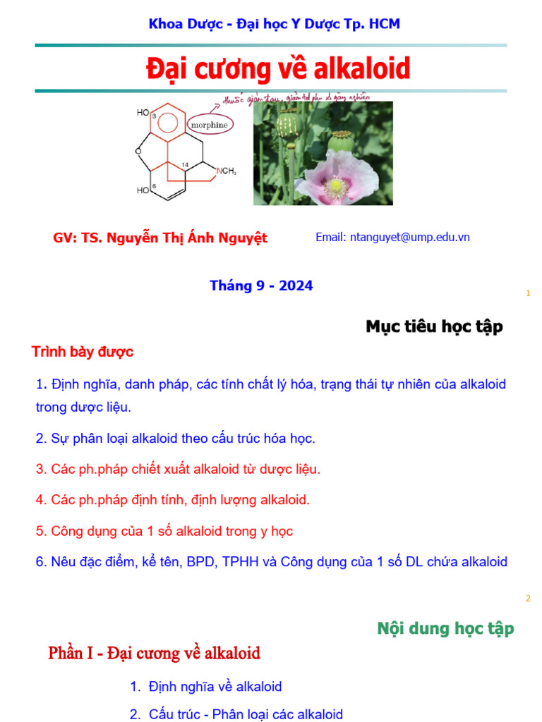 Bai Giang Dai Cuong Alkaloid 09 2024 DH KHTN | PDF