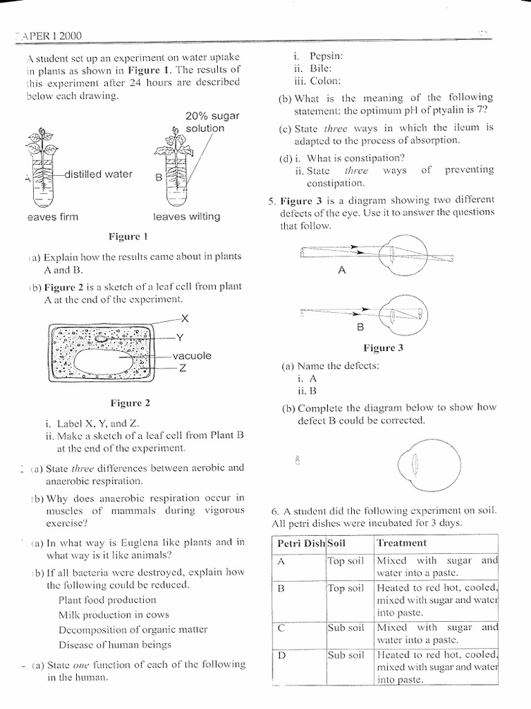 Biology 3 Question and Model Answers | PDF
