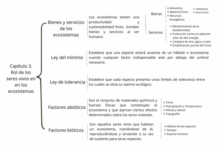 Mapa Conceptual Cap 3 | PDF
