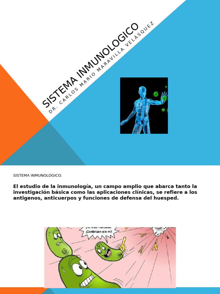 Sistema Inmunologico | PDF | Sistema inmune | Linfocitos