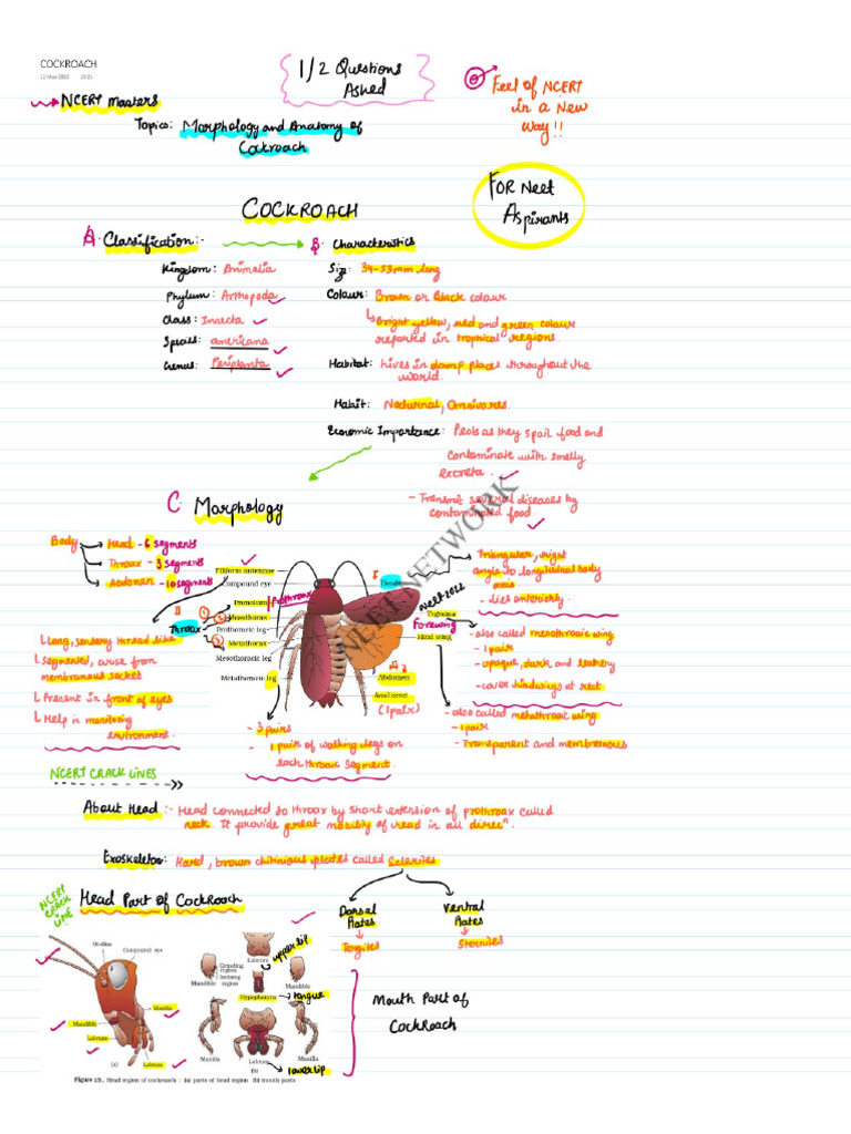 COCKROACH (ONE SHOT) NOTES_watermark (1) | PDF