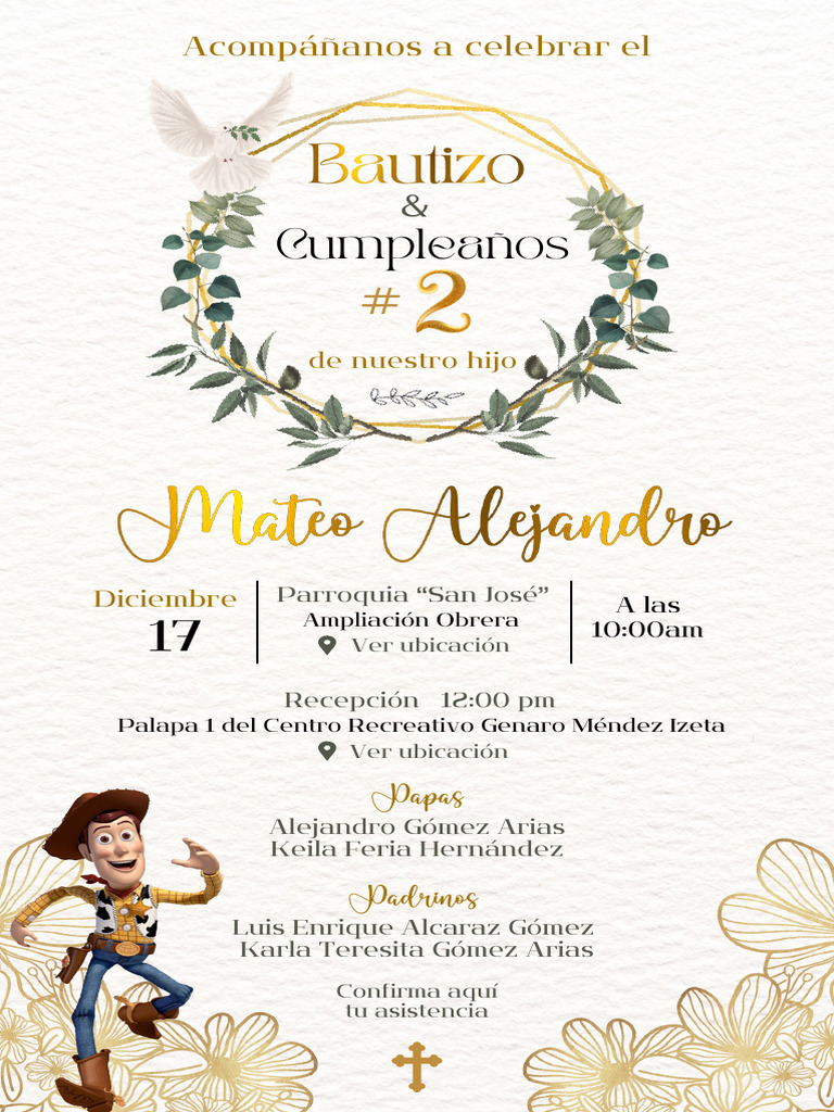 Fiesta de Cumpleaños de Mateo Alejandro | PDF