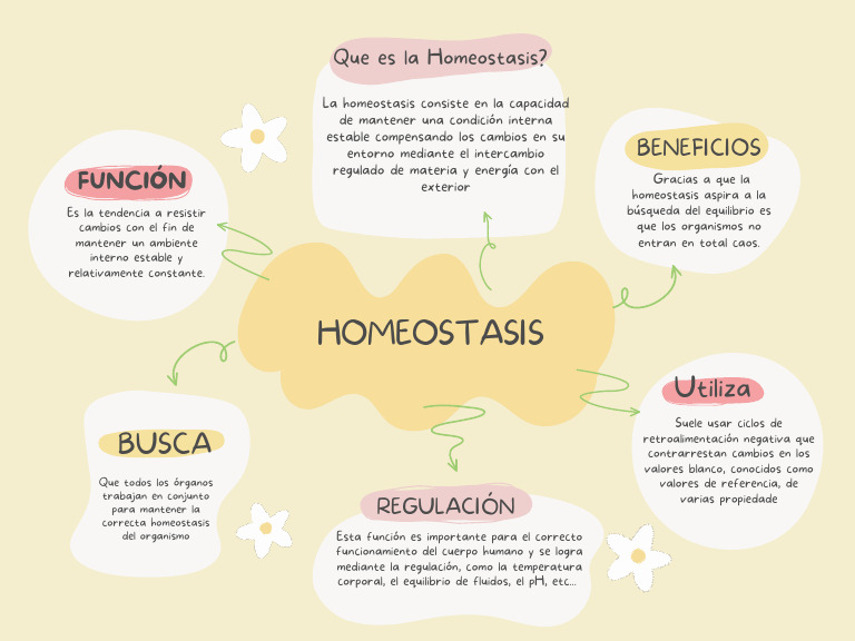 Homeostasis: Mantenimiento del Equilibrio Interno | PDF