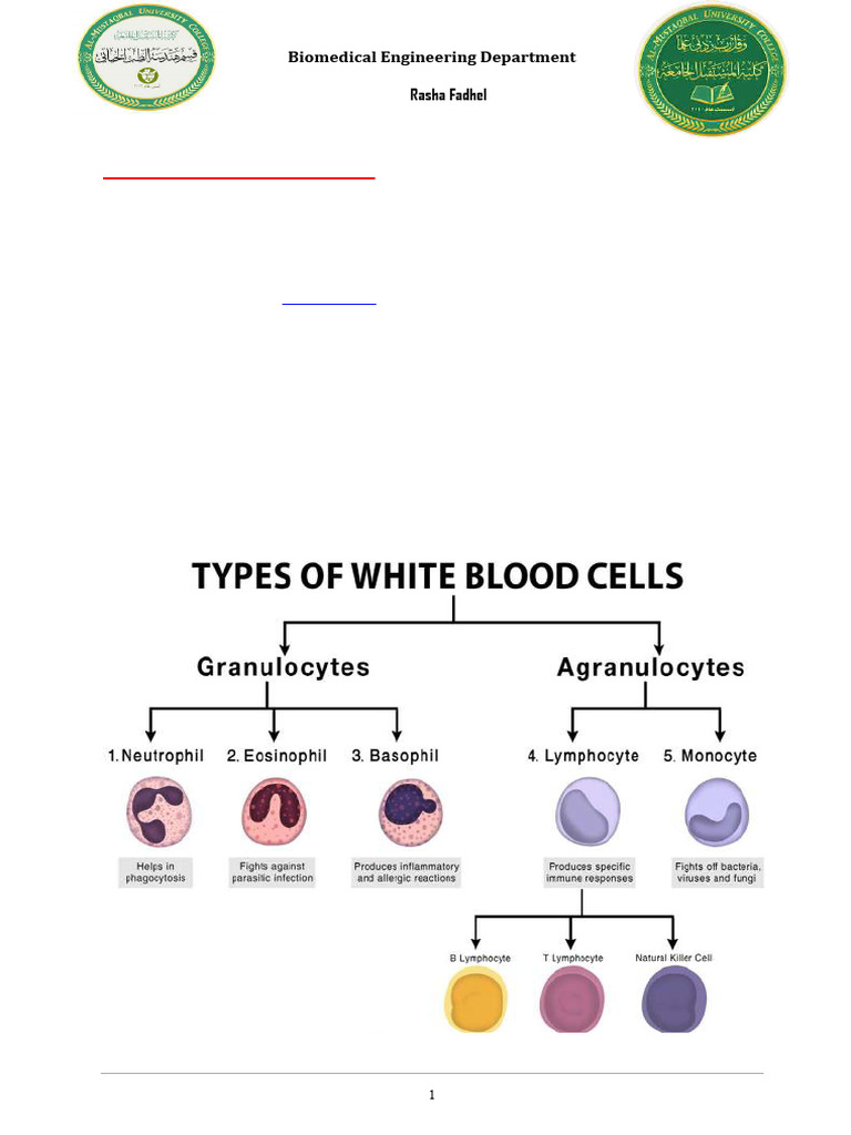 MUCLecture 2022 122457263 | PDF | White Blood Cell | Phagocyte