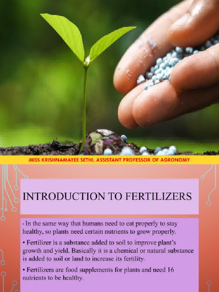 Fertilizer | PDF