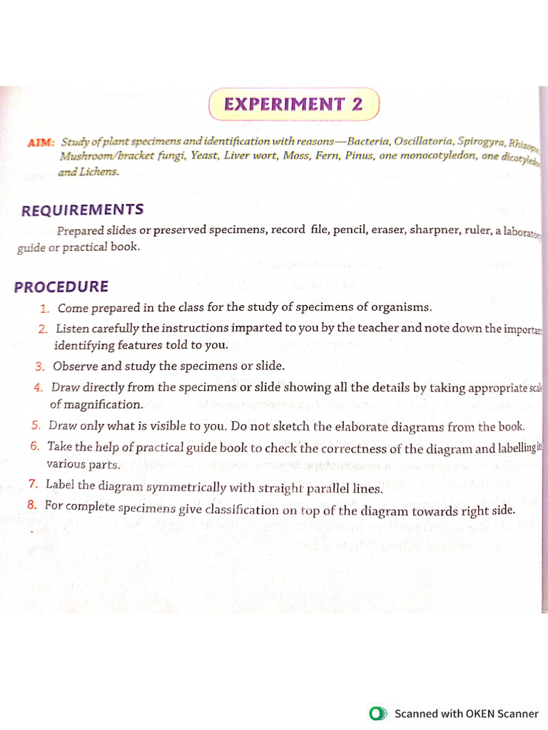 11th Spotting Experiment 2 | PDF