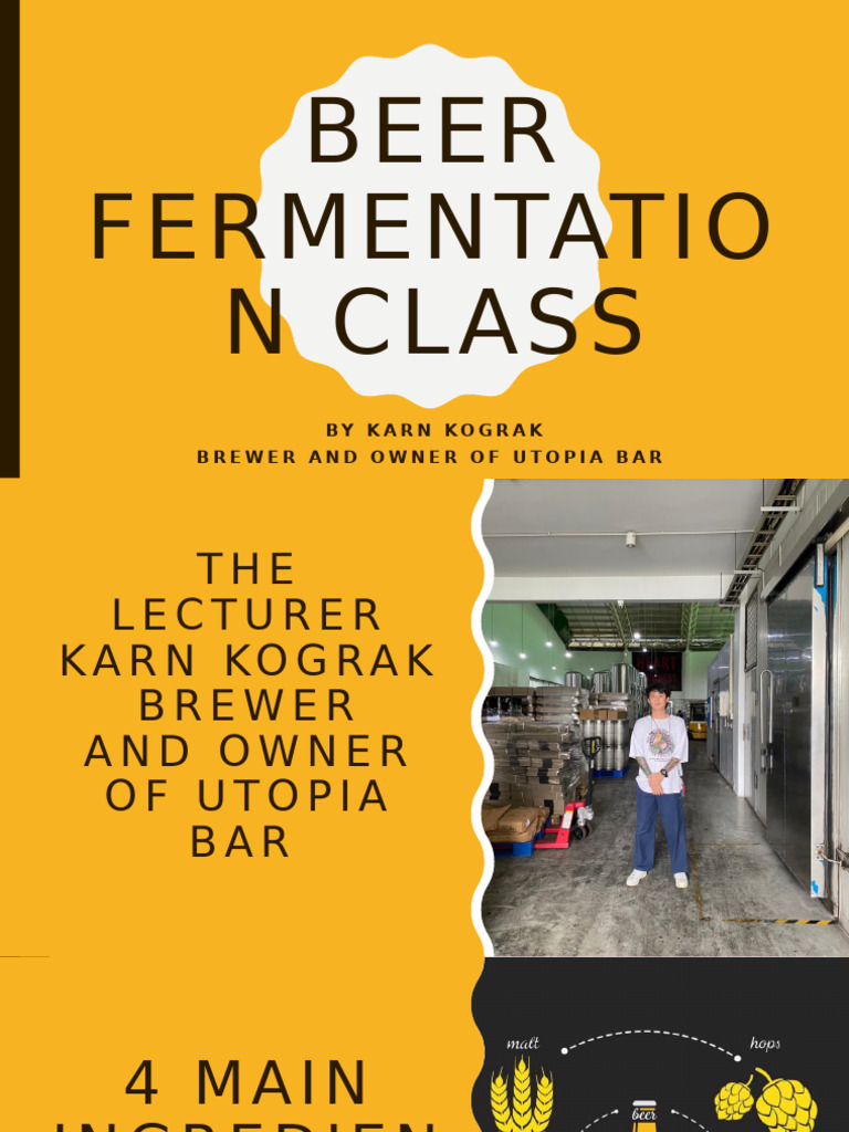 Beer Fermentation | PDF