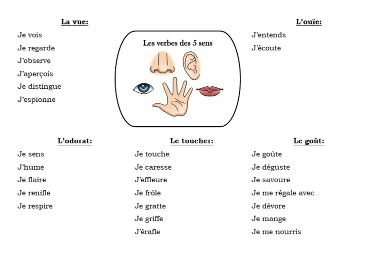 Verbes des cinq sens en français | PDF