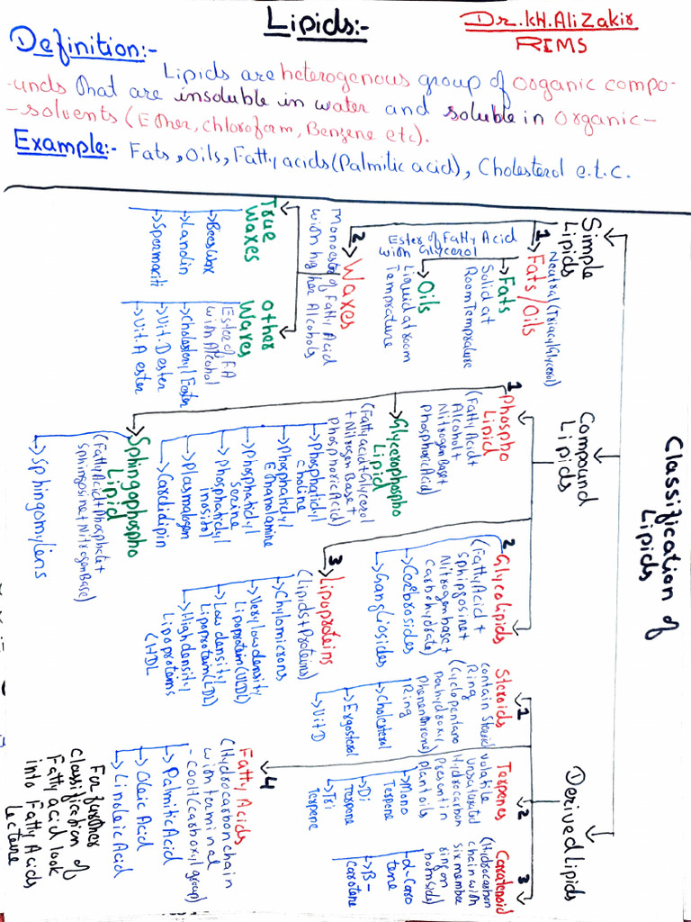 Classification of Lipids | PDF | Lipid | Natural Products
