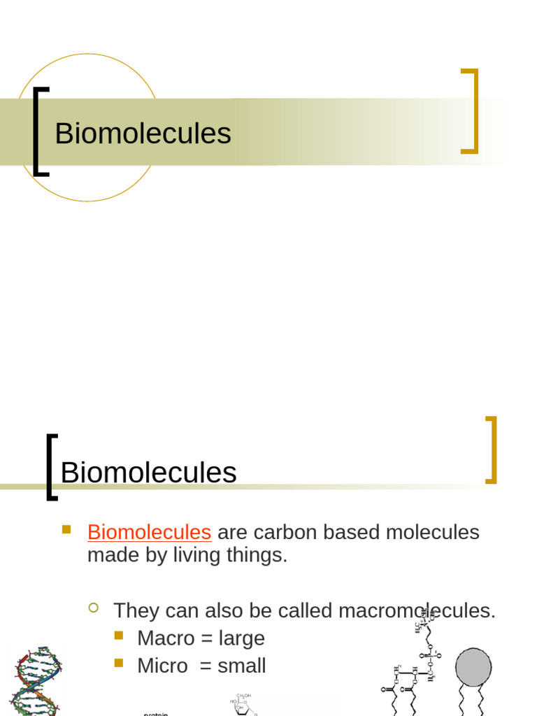 Understanding Biomolecules: Types & Functions | PDF | Biomolecules ...