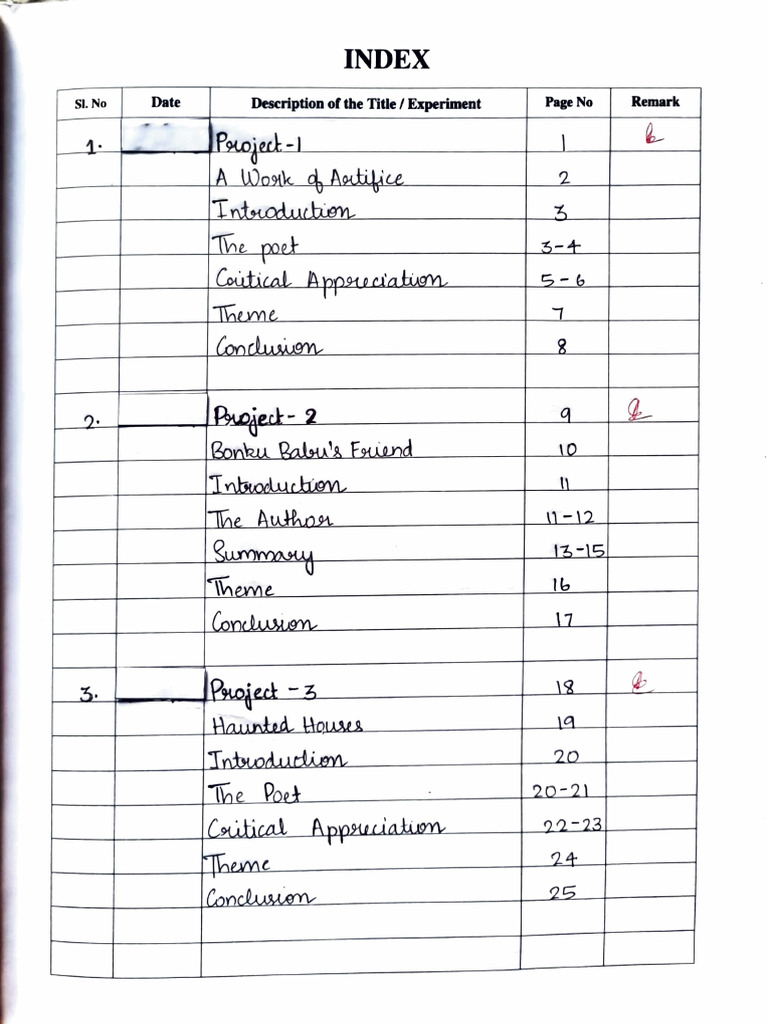 English Literature Project | PDF