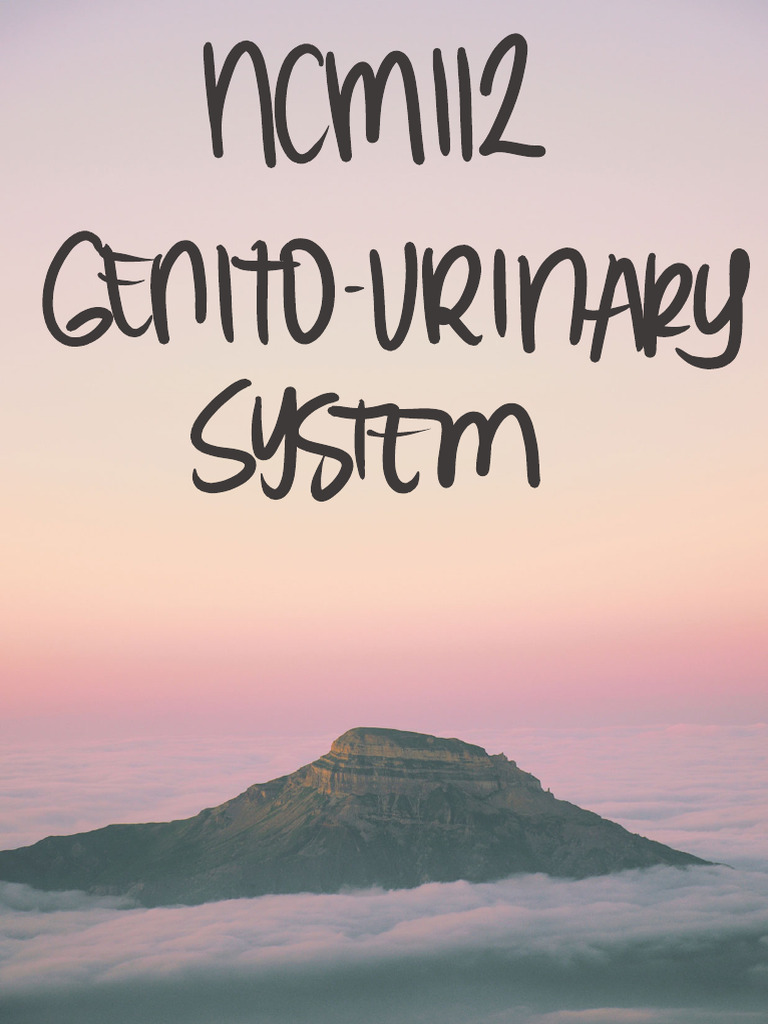 MS1 Genitourinary | PDF