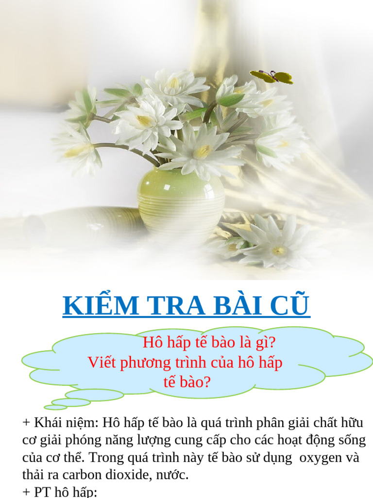 Bai 23. Trao Doi Khi o SV | PDF