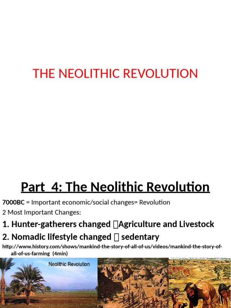 Neolithic Revolution: Agriculture & Society | PDF