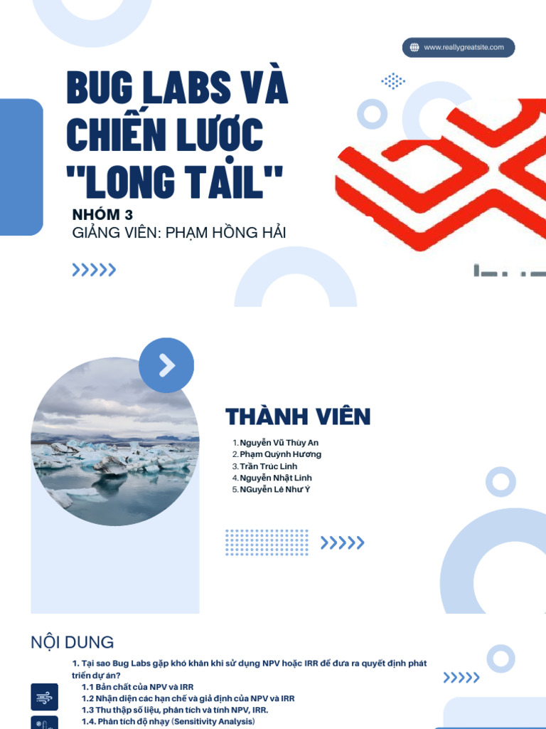 0708 QTCN N3 C3 Bug Labs | PDF