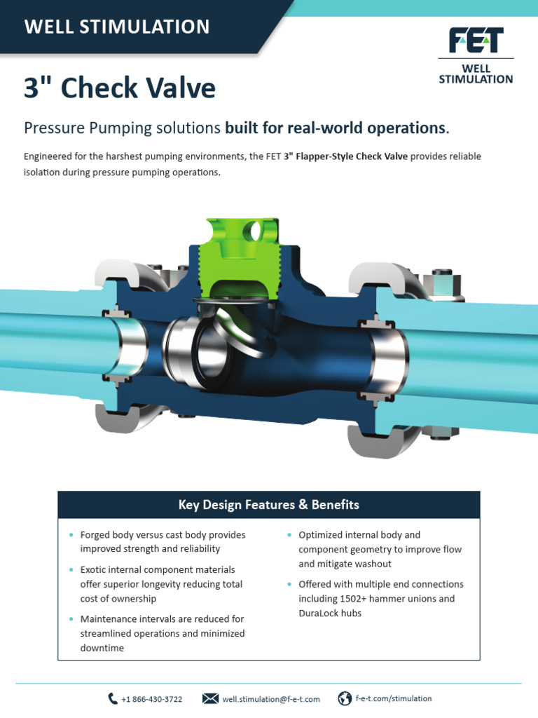 Brochure - 3-Inch Check Valve - 2024 | PDF