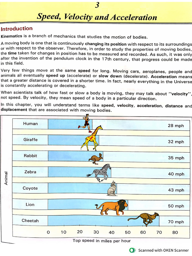Speed Velocity p k Energy Scan | PDF