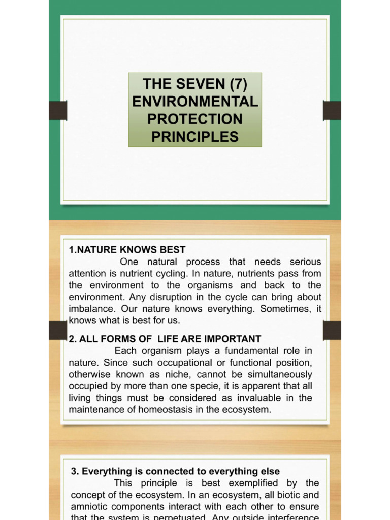7 Principle | PDF