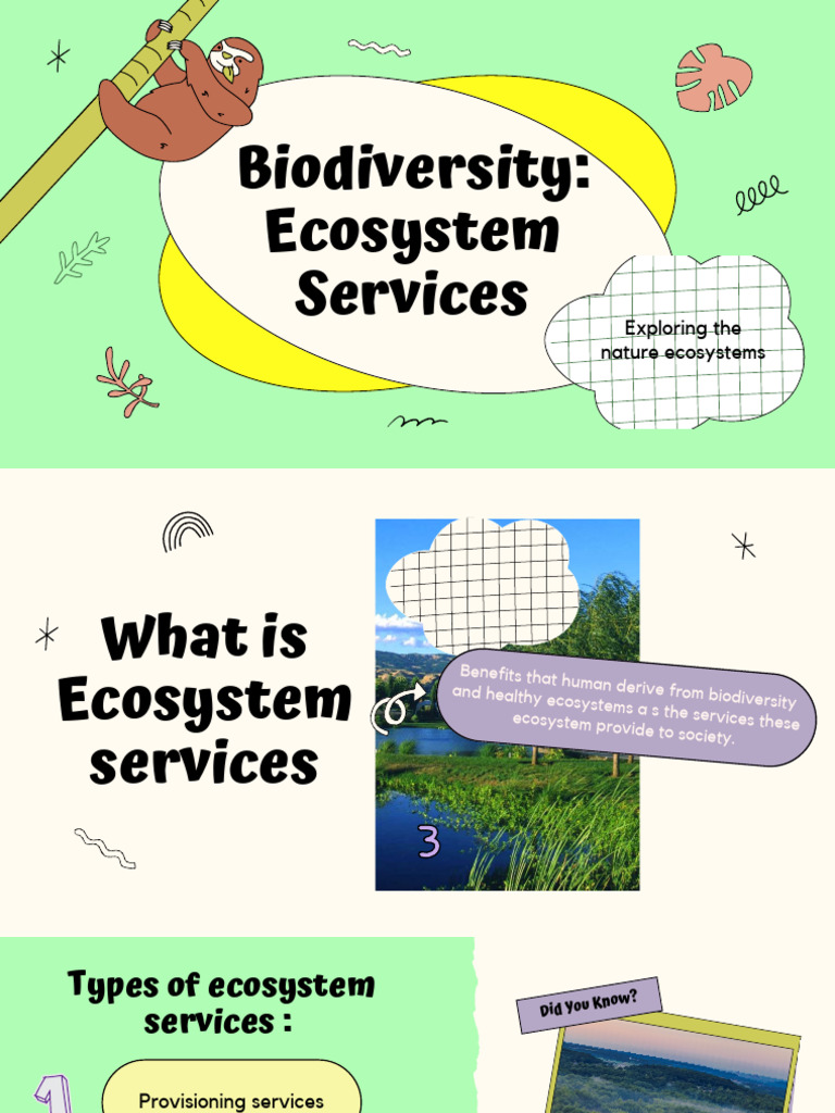 Rainforest Habitat Presentation | PDF | Ecosystem | Biodiversity