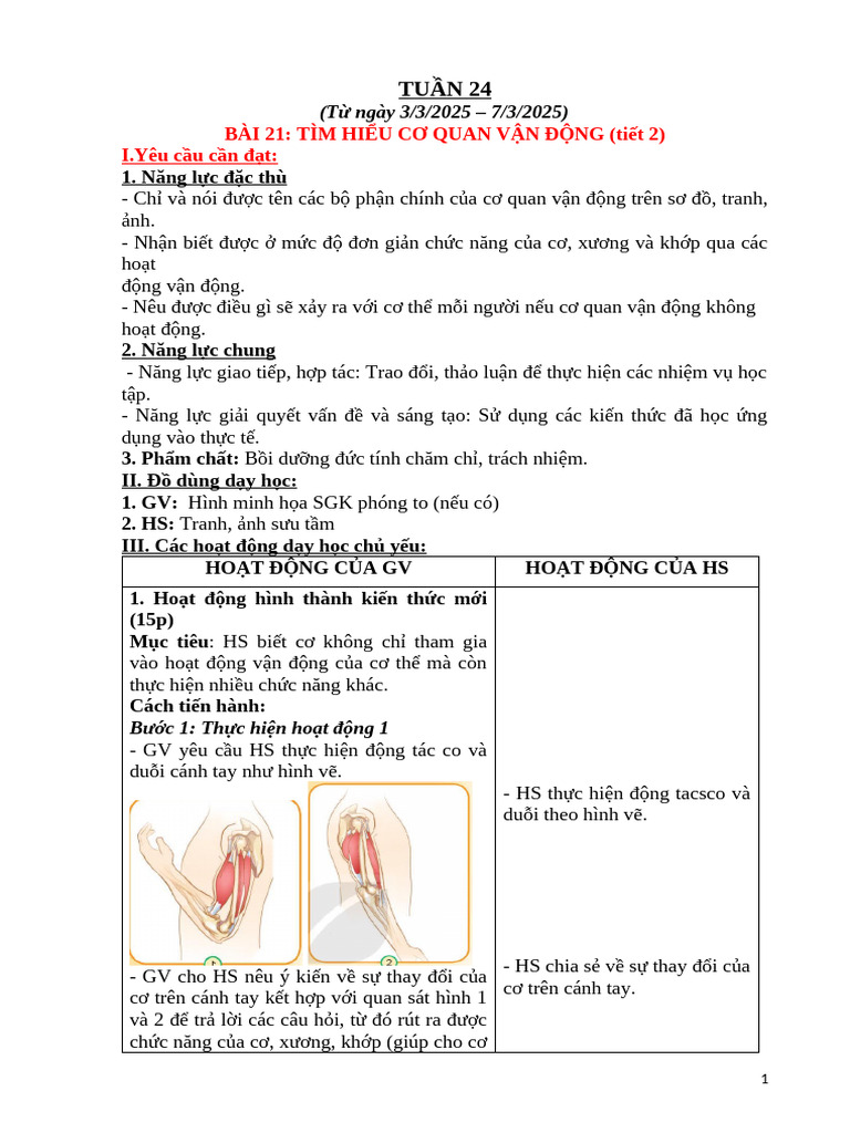 Ke Hoach Bai Day Tu Nhien Xa Hoi Lop 2 | PDF