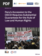 Peru's 2024 Human Rights Crisis Report | PDF | Peru | United States ...