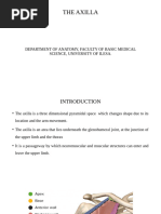 The Axilla Region - Borders - Contents - TeachMeAnatomy | PDF | Arm ...