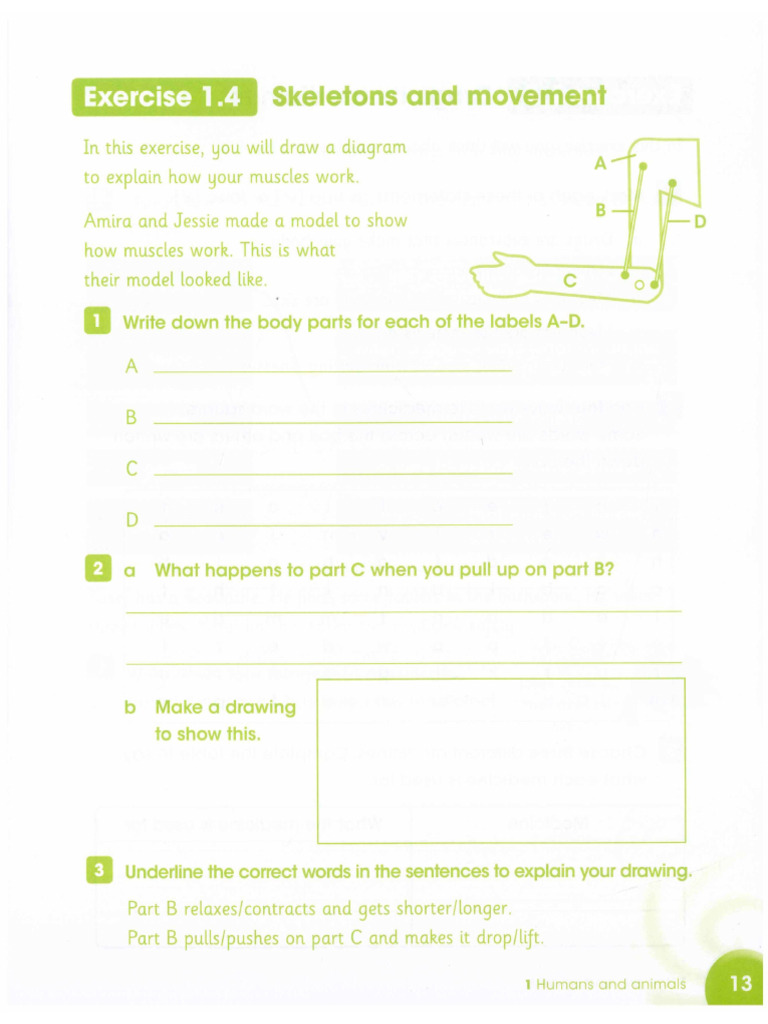 Science Worksheets Final | PDF