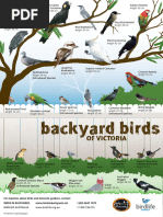 CLASS 3 SCIENCE CHAPTER 3 BIRDS Mrs. Geetarani Das | PDF | Birds | Feather