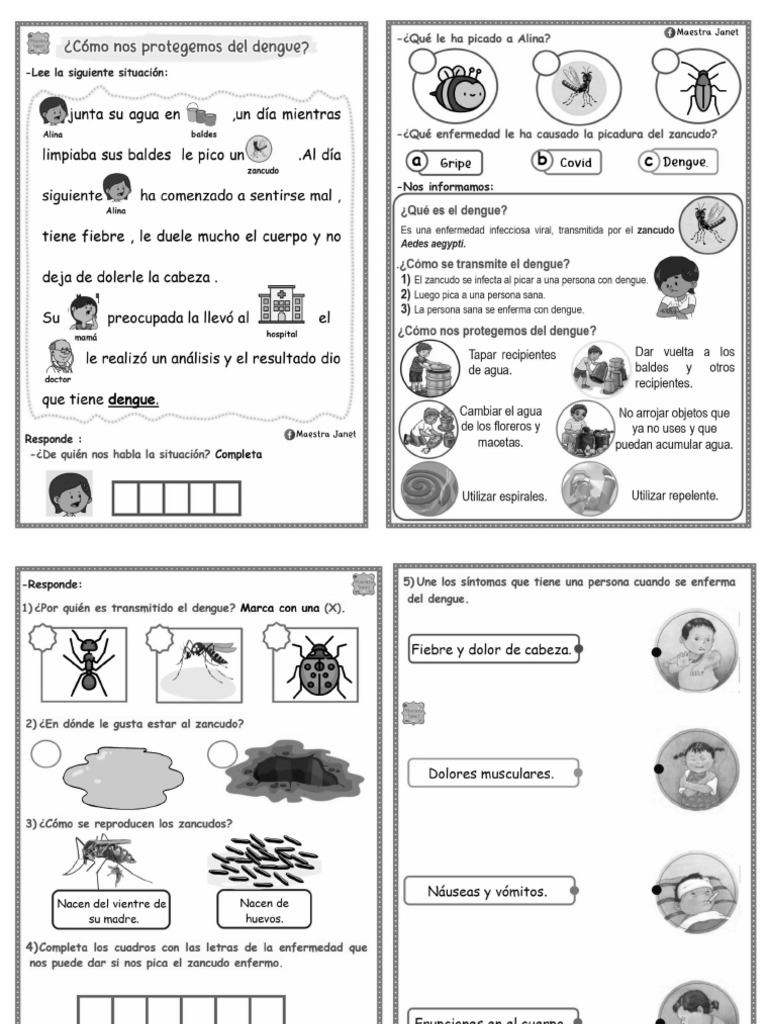 Fichas Del Dengue | PDF