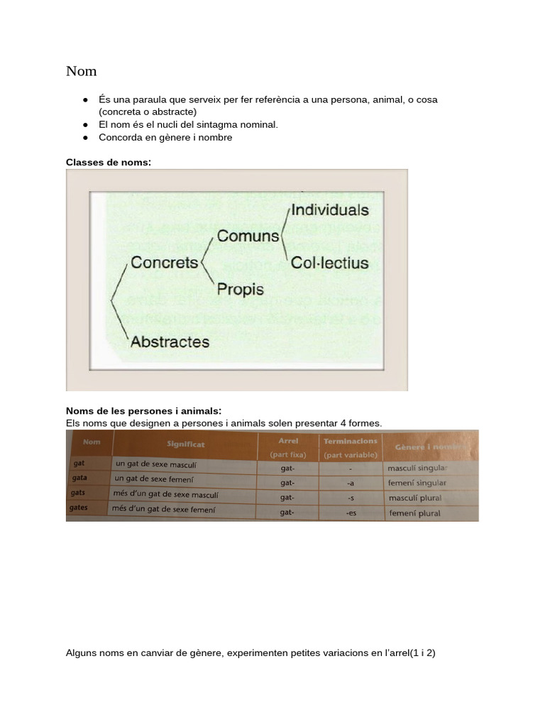 Classes de Noms | PDF