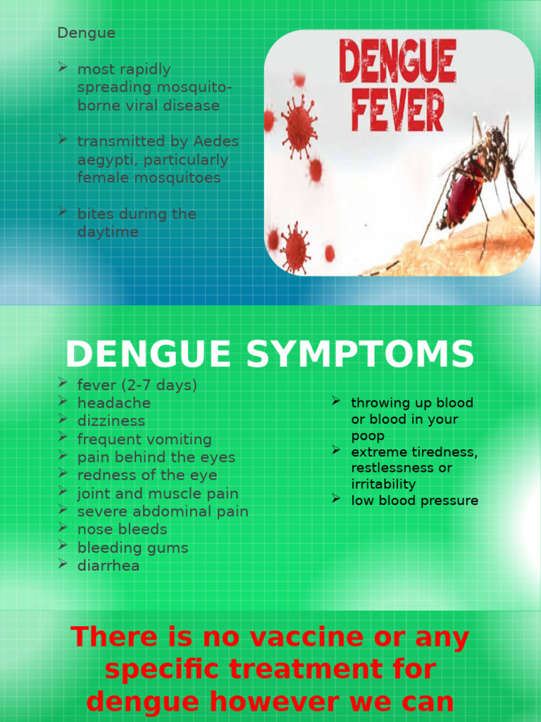 Dengue PPT | PDF
