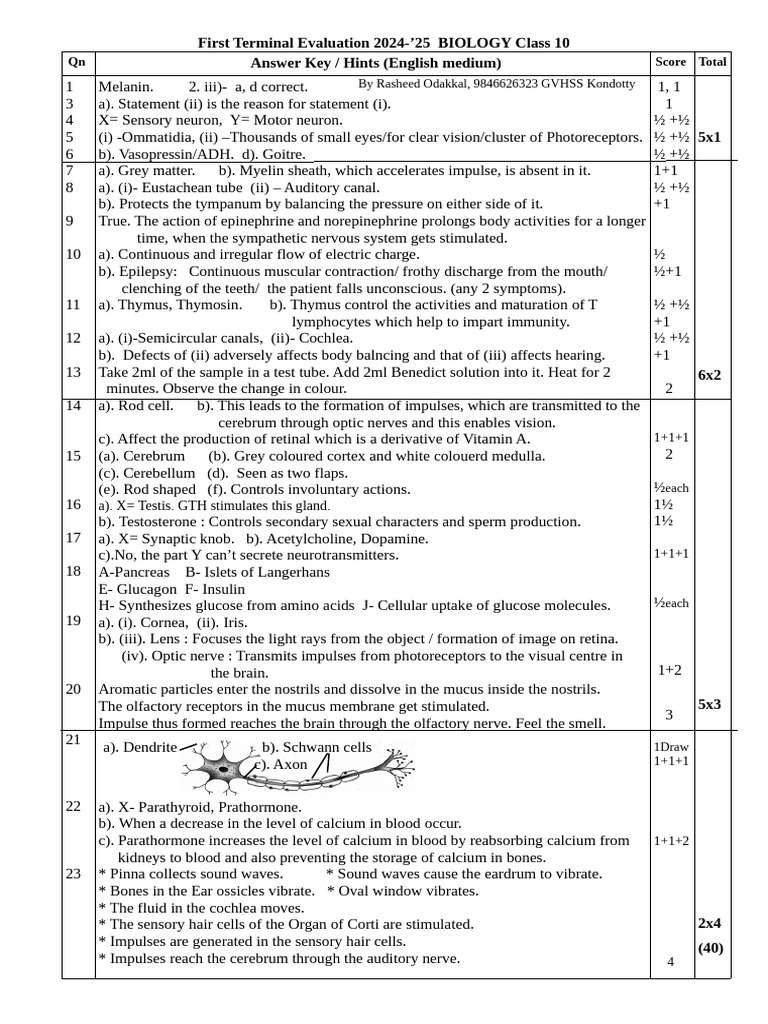10 Biology (Eng med) First Term Evln 2024-25 Answer key by Rasheed ...